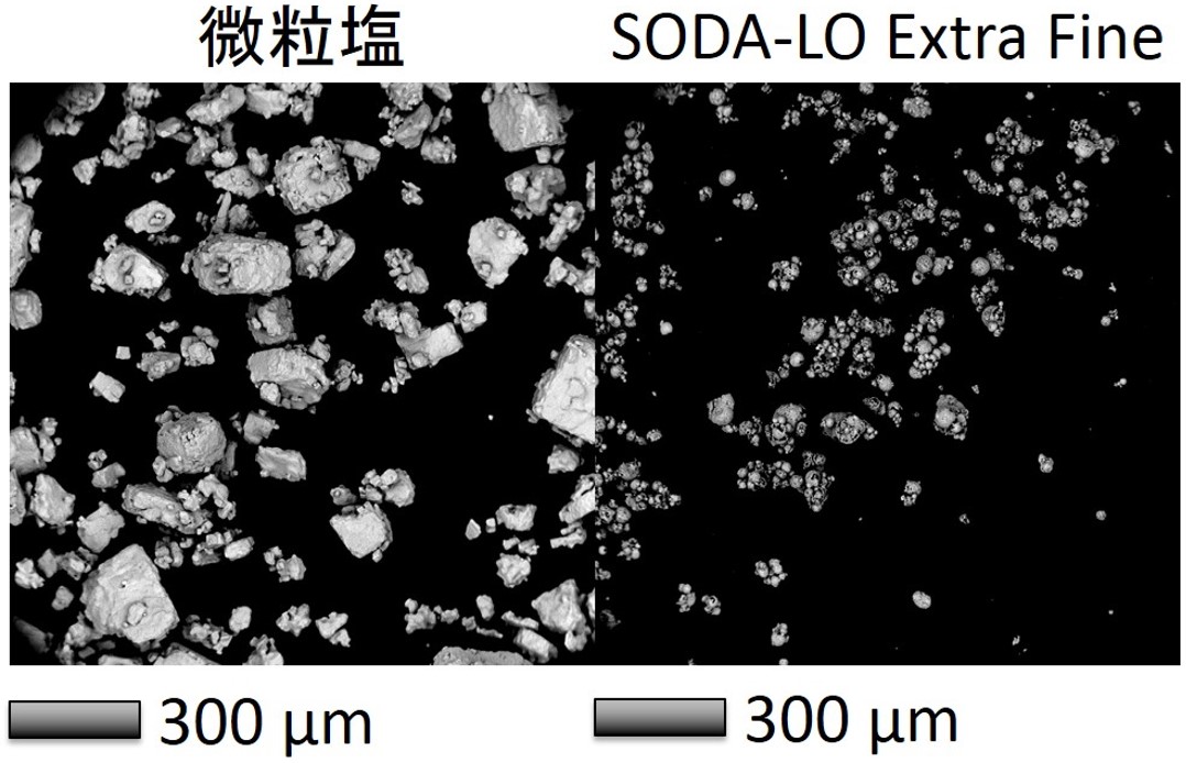 測定手法のお話～SEMを使ってみよう！「SEMの活用」～ | 豆知識 | 多糖類.com | MP五協フード＆ケミカル